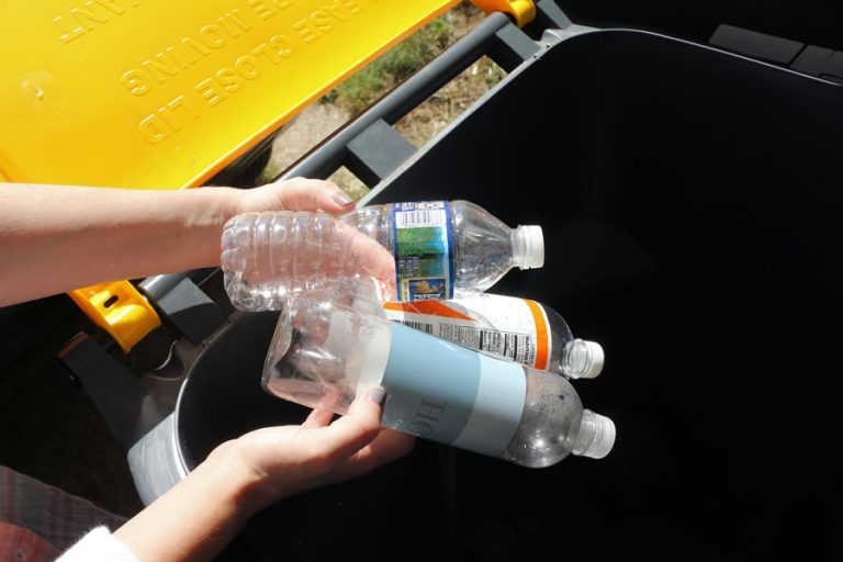 7 Tips and Tricks to Make Recycling Simple - Better Living