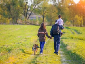 36 Ways to Increase Your NEAT (Non-Exercise Activity Thermogenesis ...