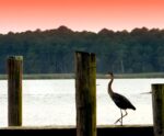 Visit Kent Narrows, MD: Chesapeake Bay’s Hidden Gem - Better Living