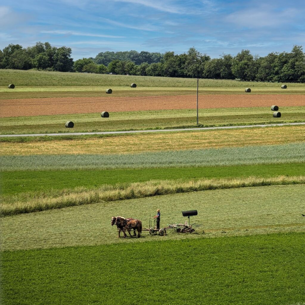 Things To Do In Amish Country - Lancaster, PA - Better Living