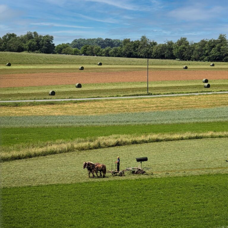 Things To Do In Amish Country - Lancaster, PA - Better Living