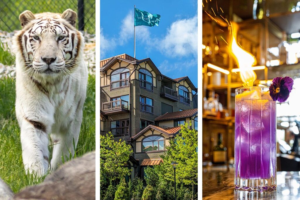 Nemacolin Resort Review. Is it Worth It?